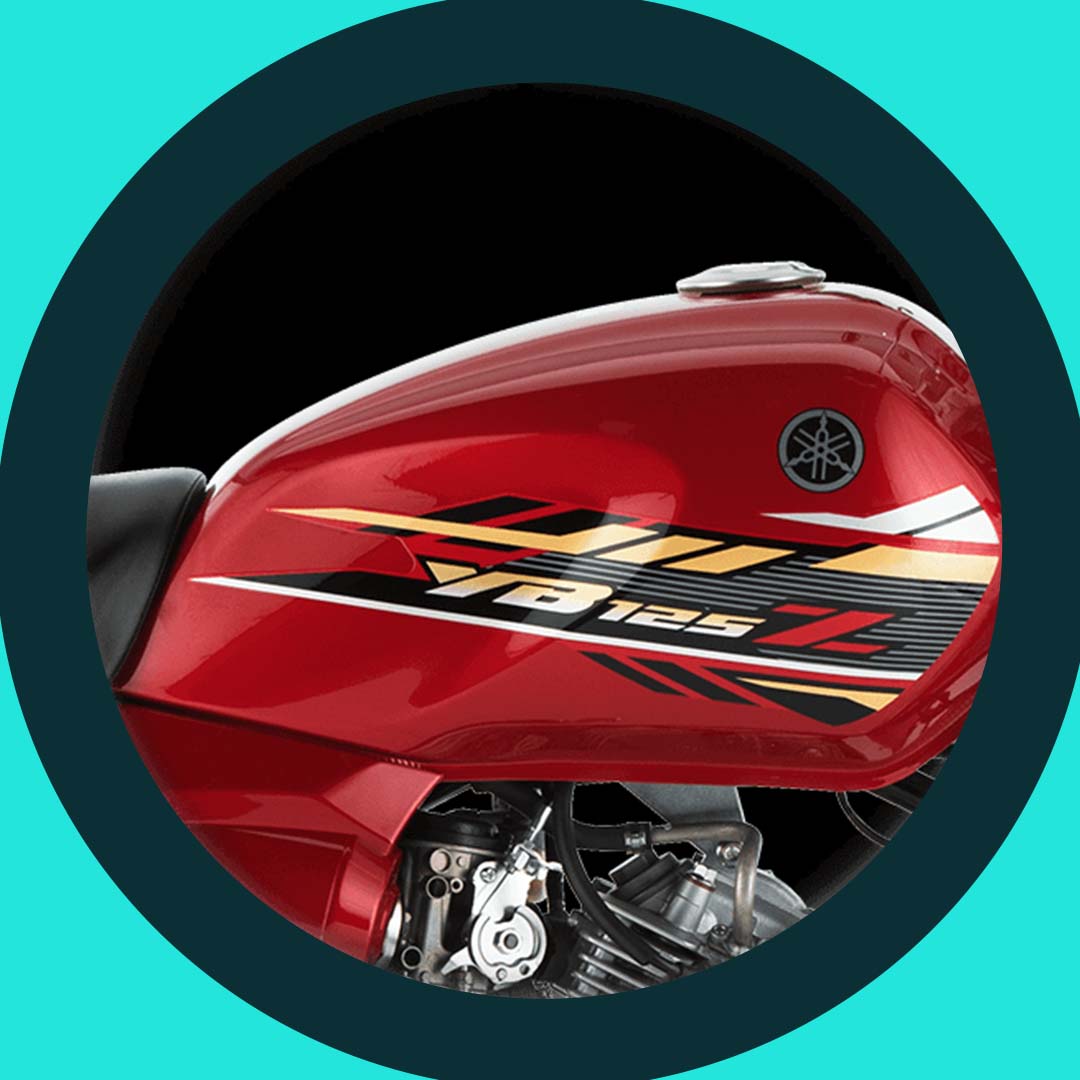 All You Need to Know About Yamaha YBZ